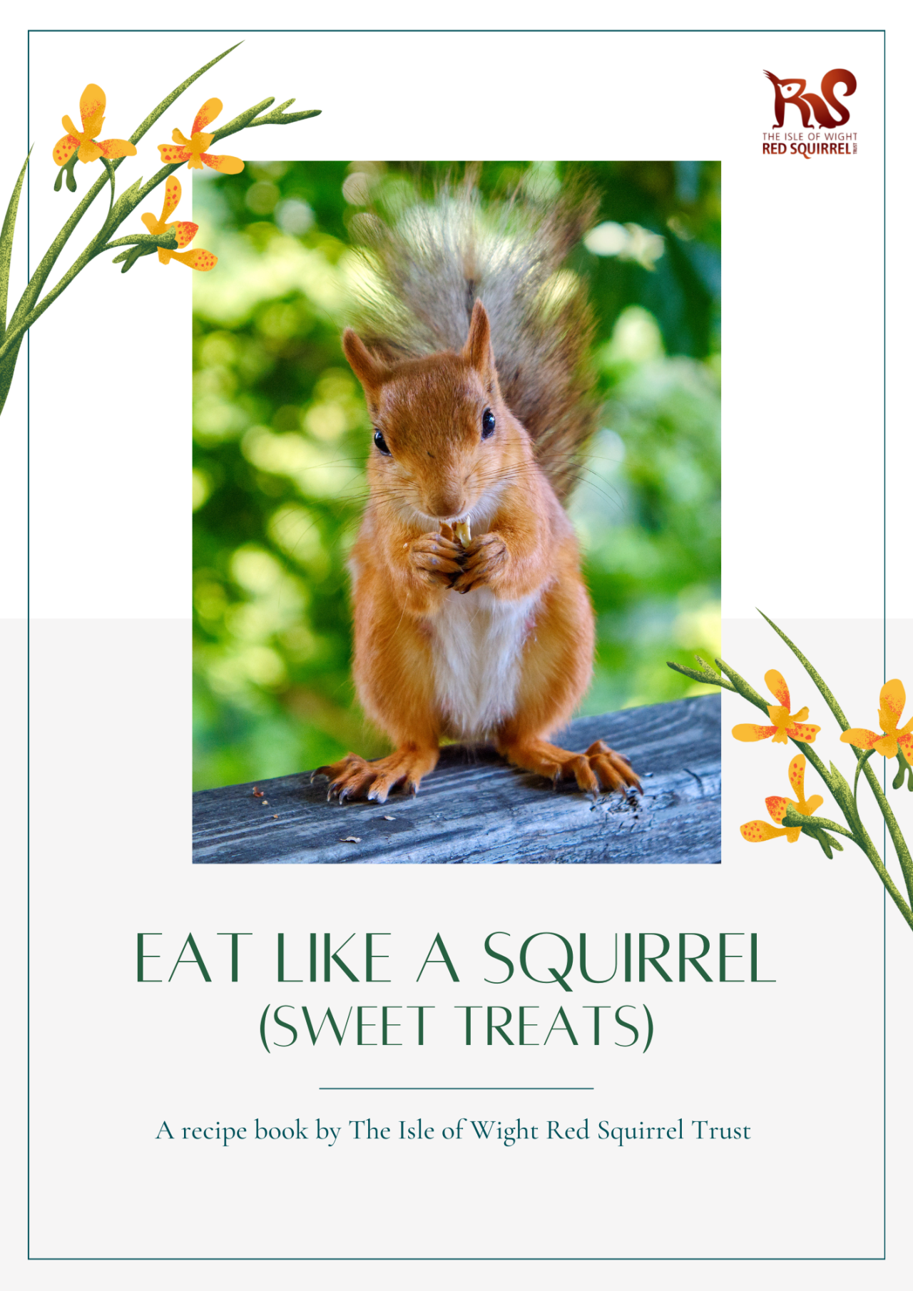 Squirrel Food & Eat Like a Squirrel eBook - Isle of Wight Red Squirrel ...